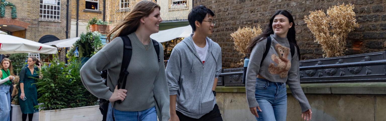 Undergraduate application - Northeastern University London