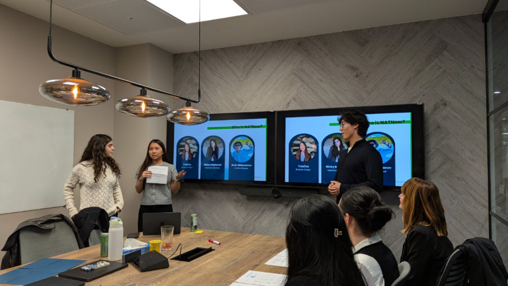 Service Now Professional Practicum - Northeastern University London